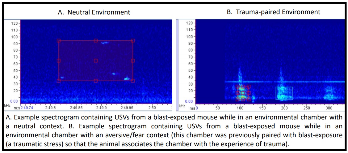 Affective state analysis of ultrasonic vocalizations in animal models ...