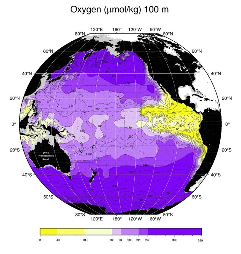 Systems level analysis of metabolic pathways across a marine oxygen ...